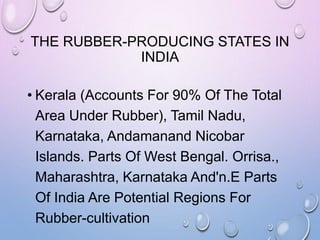 Geography of economic activities ( rubber ) | PPTX