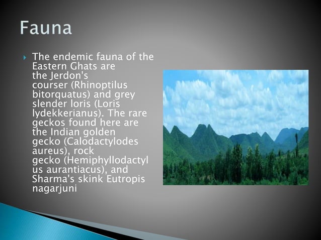 Geography of india | PPT