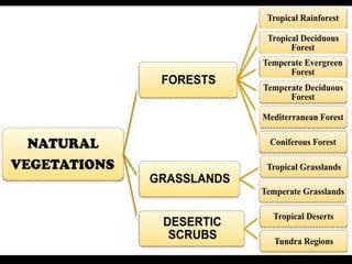 Geography of islamic world | PDF