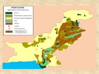 Geography of pakistan | PPTX