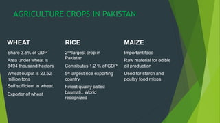Geography of Pakistan | PPTX