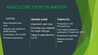 Geography of Pakistan | PPTX