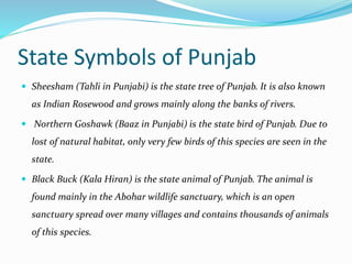 Geography of punjab | PPTX