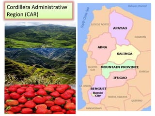 Geography of the philippines.pptxjjkkk | PPTX