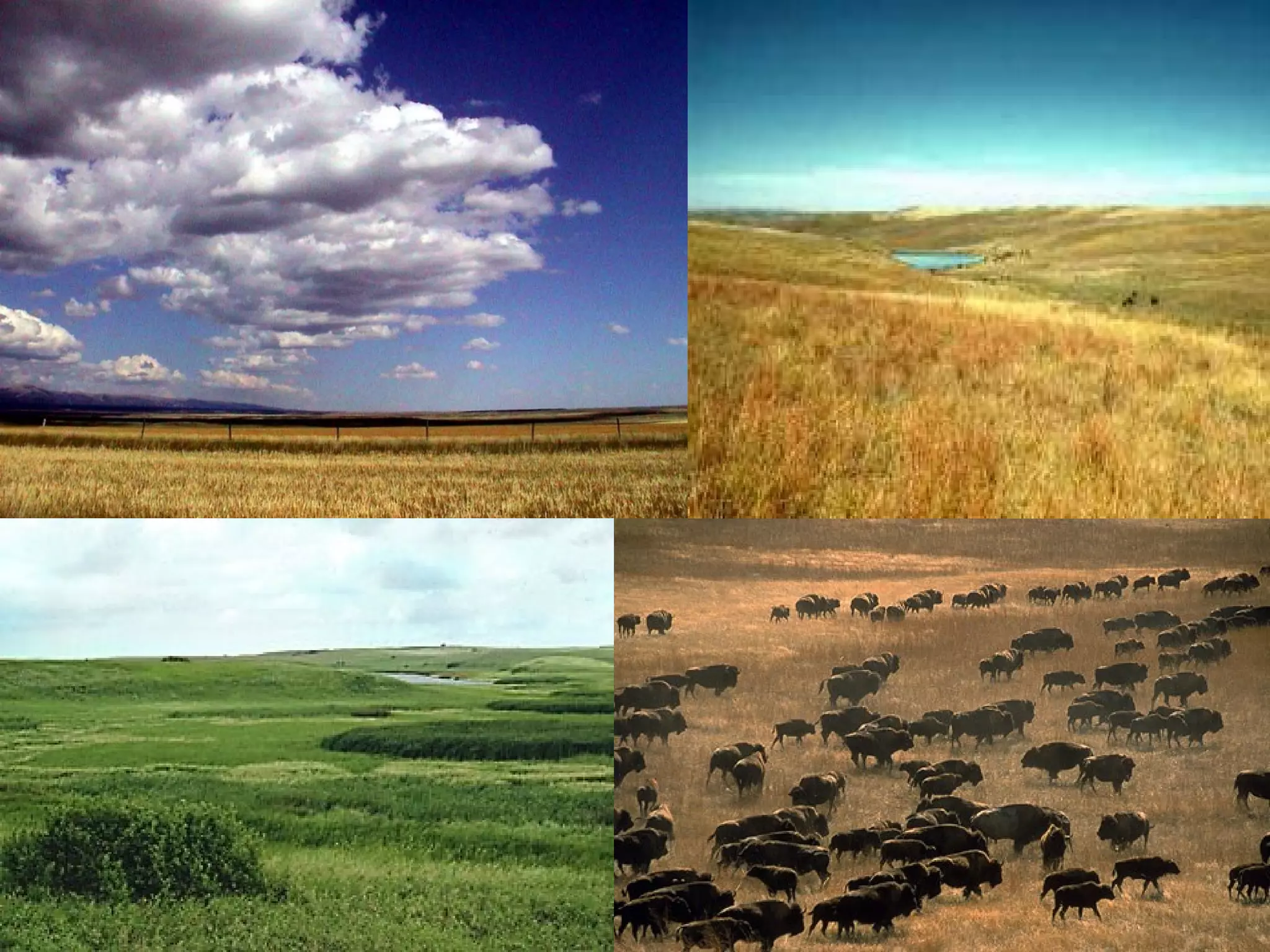 Geography of the united states | PPT