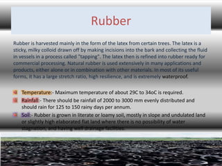 CLIMATIC CONDITIONS AND CULTIVATION | PPTX