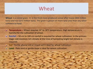 CLIMATIC CONDITIONS AND CULTIVATION | PPTX