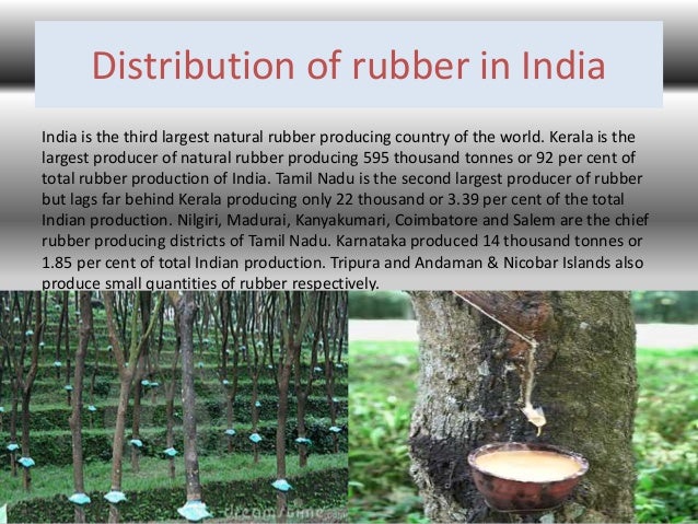 Cash Crops Rubber