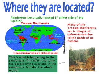 Geography presentation-Tropical Rainforests | PPT