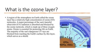 ozone layer | PDF