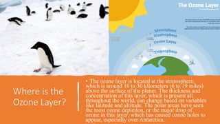 ozone layer | PDF