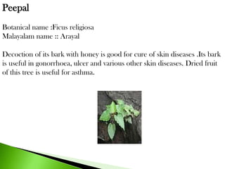 Geography presentation group 1 | PPT