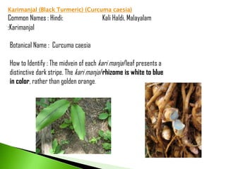 Geography presentation group 1 | PPT