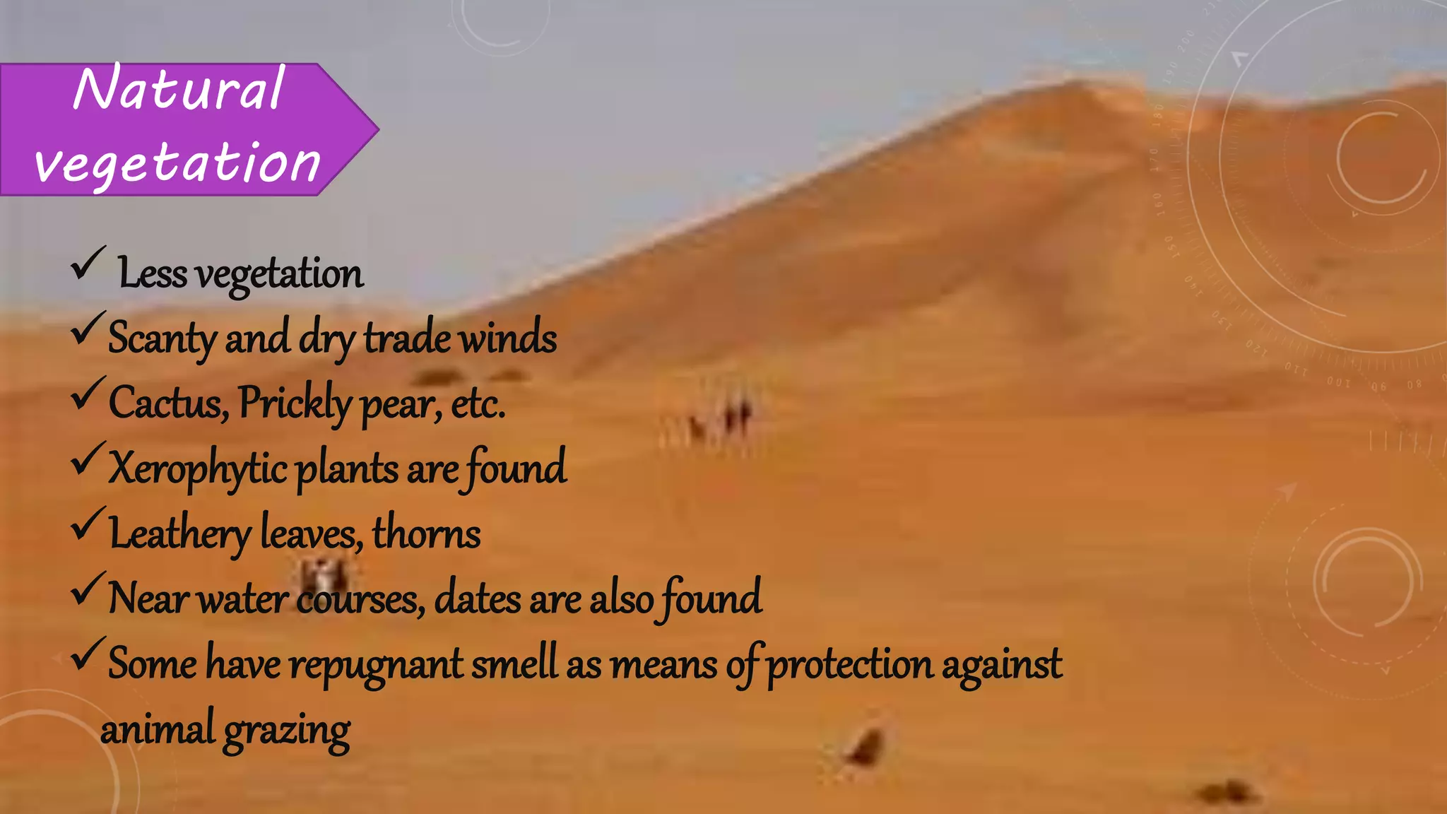 Geography project | PPTX