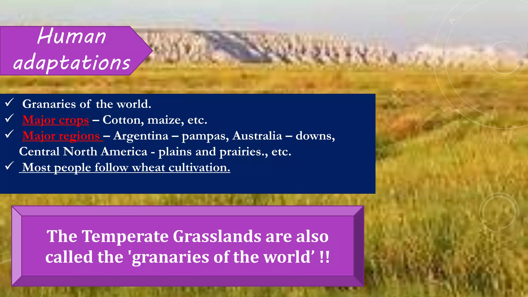 Geography project | PPTX