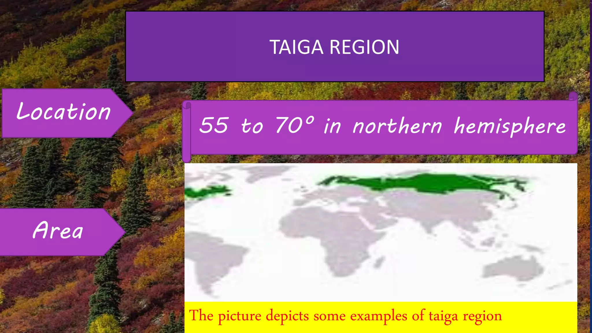 Geography project | PPTX