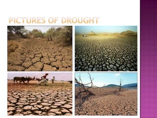 Geography project on disaster and its management | PPTX