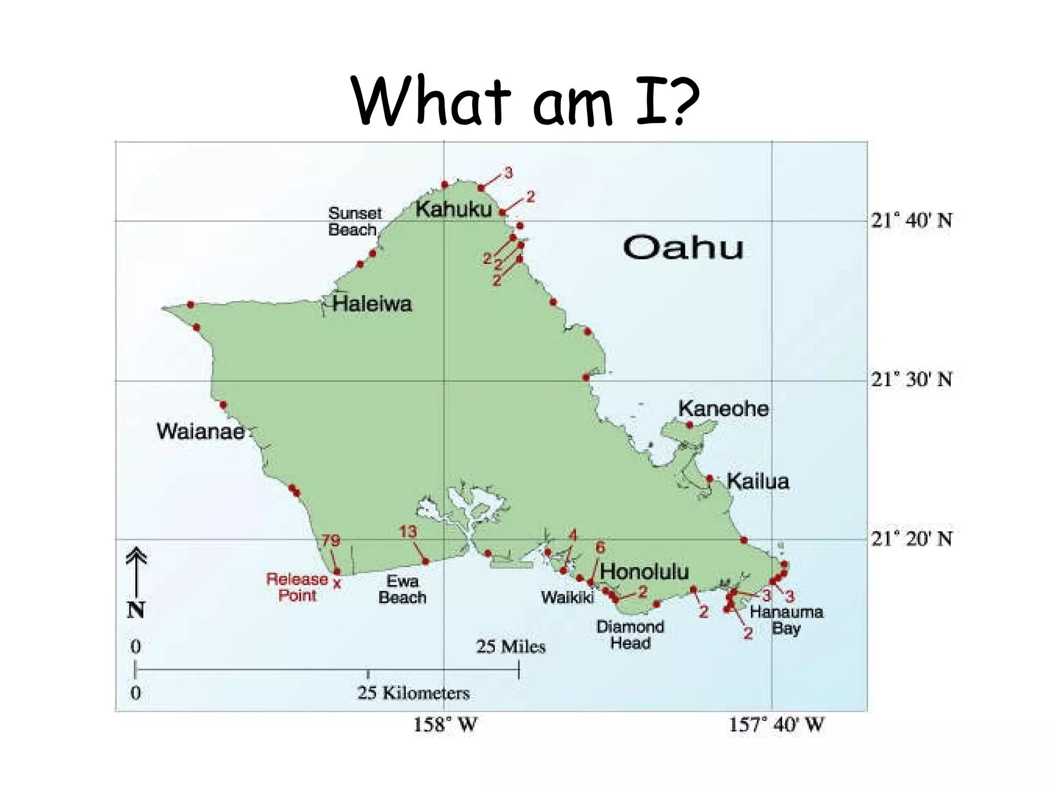 Geography Terms Power Point | PPT