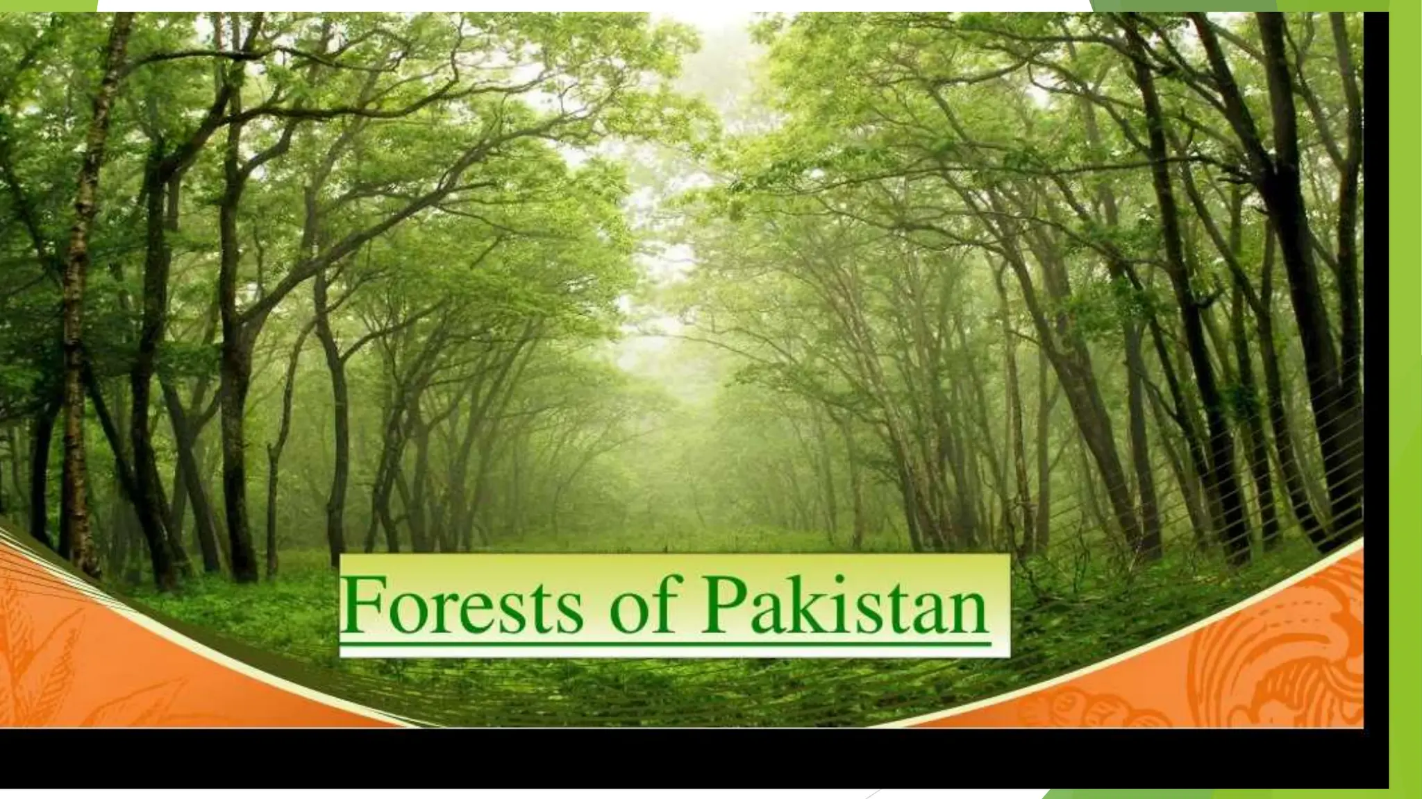 Geography Unit # 4 Types of Forests (Week 14, Lesson 5).pptx