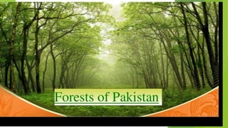 Geography Unit # 4 Types of Forests (Week 14, Lesson 5).pptx