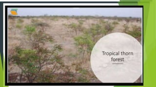 Geography Unit # 4 Types of Forests (Week 14, Lesson 5).pptx