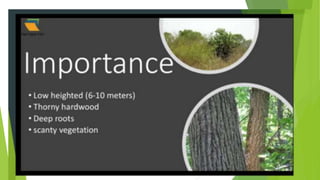 Geography Unit # 4 Types of Forests (Week 14, Lesson 5).pptx