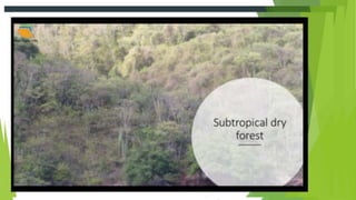 Geography Unit # 4 Types of Forests (Week 14, Lesson 5).pptx