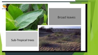 Geography Unit # 4 Types of Forests (Week 14, Lesson 5).pptx