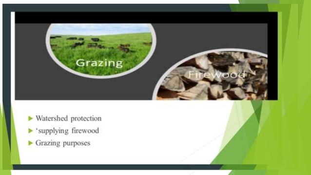 Geography Unit # 4 Types of Forests (Week 14, Lesson 5).pptx