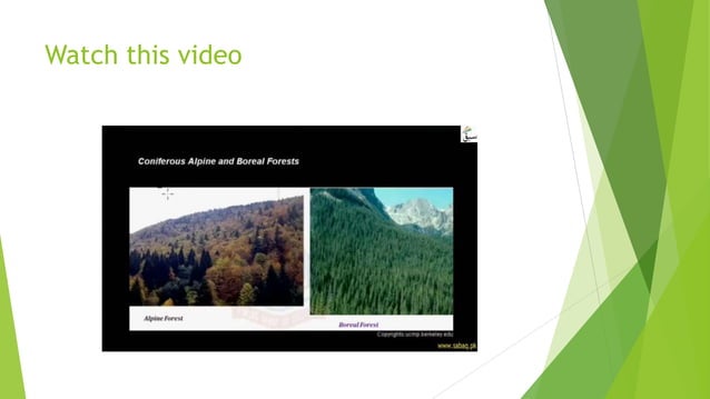 Geography Unit # 4 Types of Forests (Week 14, Lesson 5).pptx