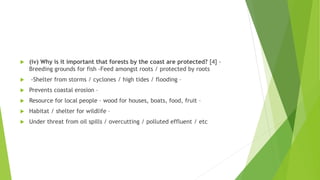 Geography Unit # 4 Types of Forests (Week 14, Lesson 5).pptx