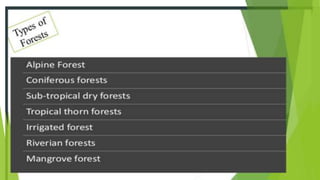 Geography Unit # 4 Types of Forests (Week 14, Lesson 5).pptx