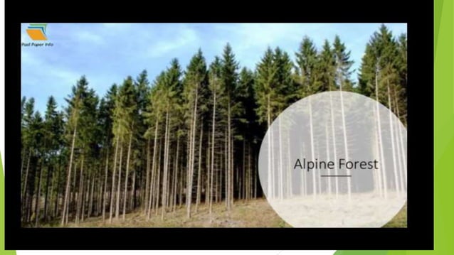 Geography Unit # 4 Types of Forests (Week 14, Lesson 5).pptx