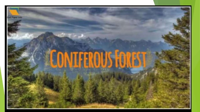 Geography Unit # 4 Types of Forests (Week 14, Lesson 5).pptx