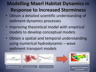 Integrating sediment dynamics into habitat mapping approaches using ...