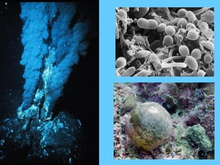 Geologic History Powerpoint Notes | PPS