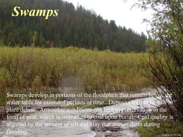 Fluvial Systems - General | PPT