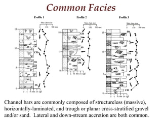 Braided Fluvial Systems | PPT