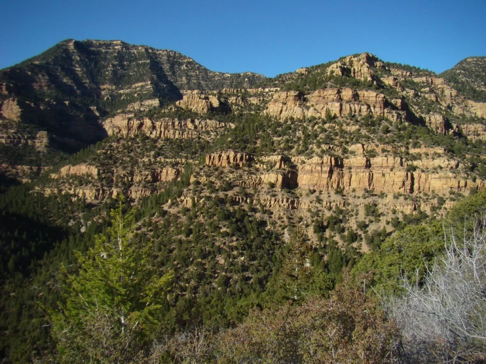 Anastomosing Fluvial Systems | PPT