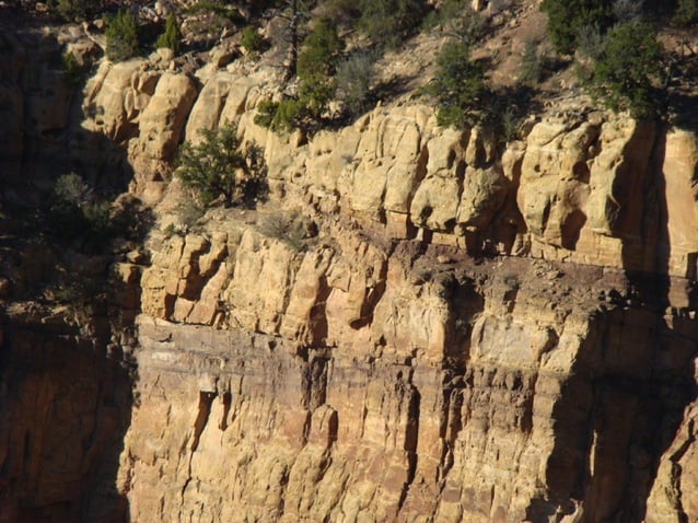 Anastomosing Fluvial Systems | PPT