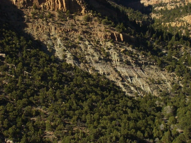 Anastomosing Fluvial Systems | PPT