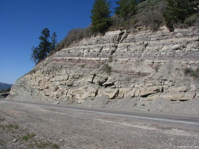 Anastomosing Fluvial Systems | PPT