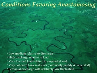 Anastomosing Fluvial Systems | PPT