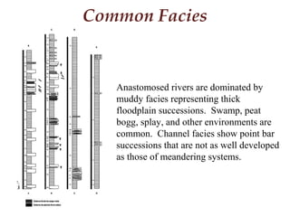 Anastomosing Fluvial Systems | PPT