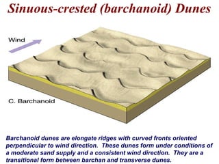 Barchanoid Dunes