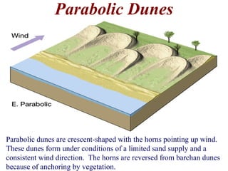 Parabolic Dune Diagram