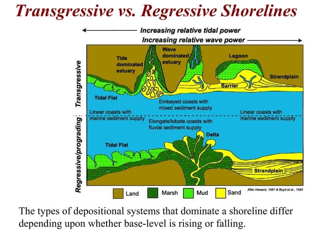 Shoreline Processes | PPT | Surfing and Bodyboarding | Extreme Sports