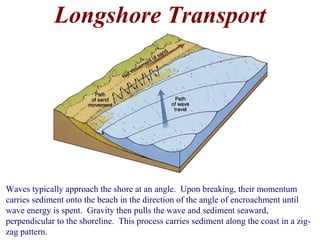 Shoreline Processes | PPT