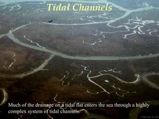 Tidal Systems | PPT