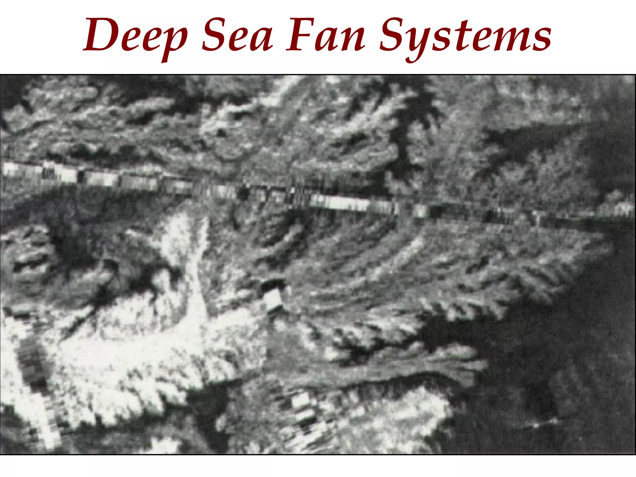 Deep Sea Fan Systems | PPT